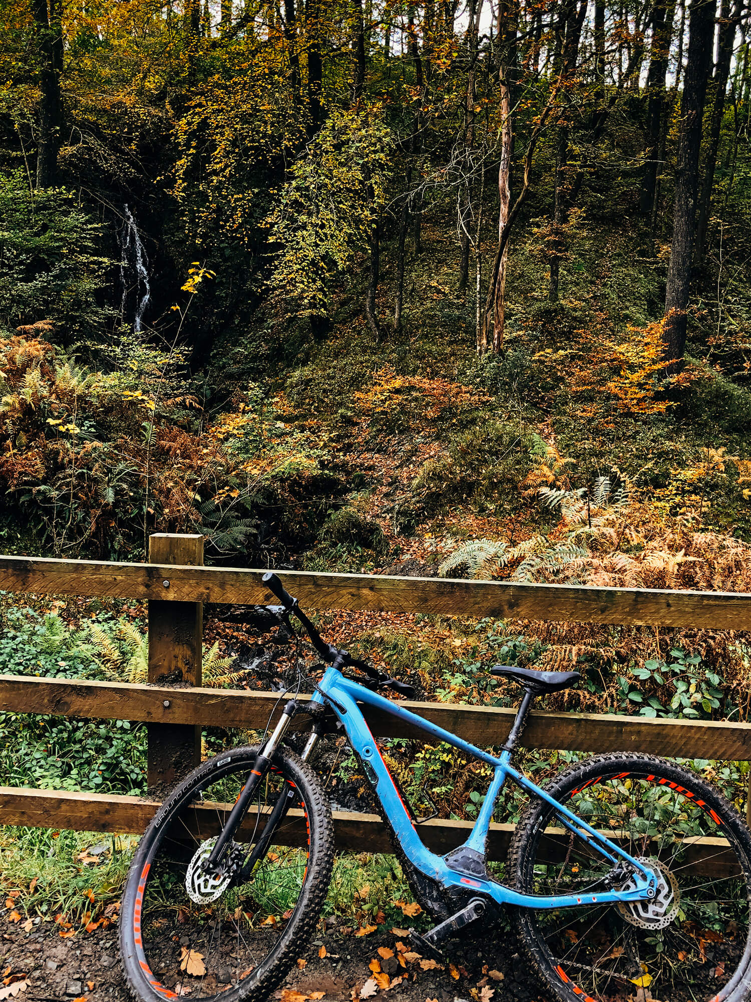 Biking at Grizedale in the Lake District - The Langdale Hotel & Spa